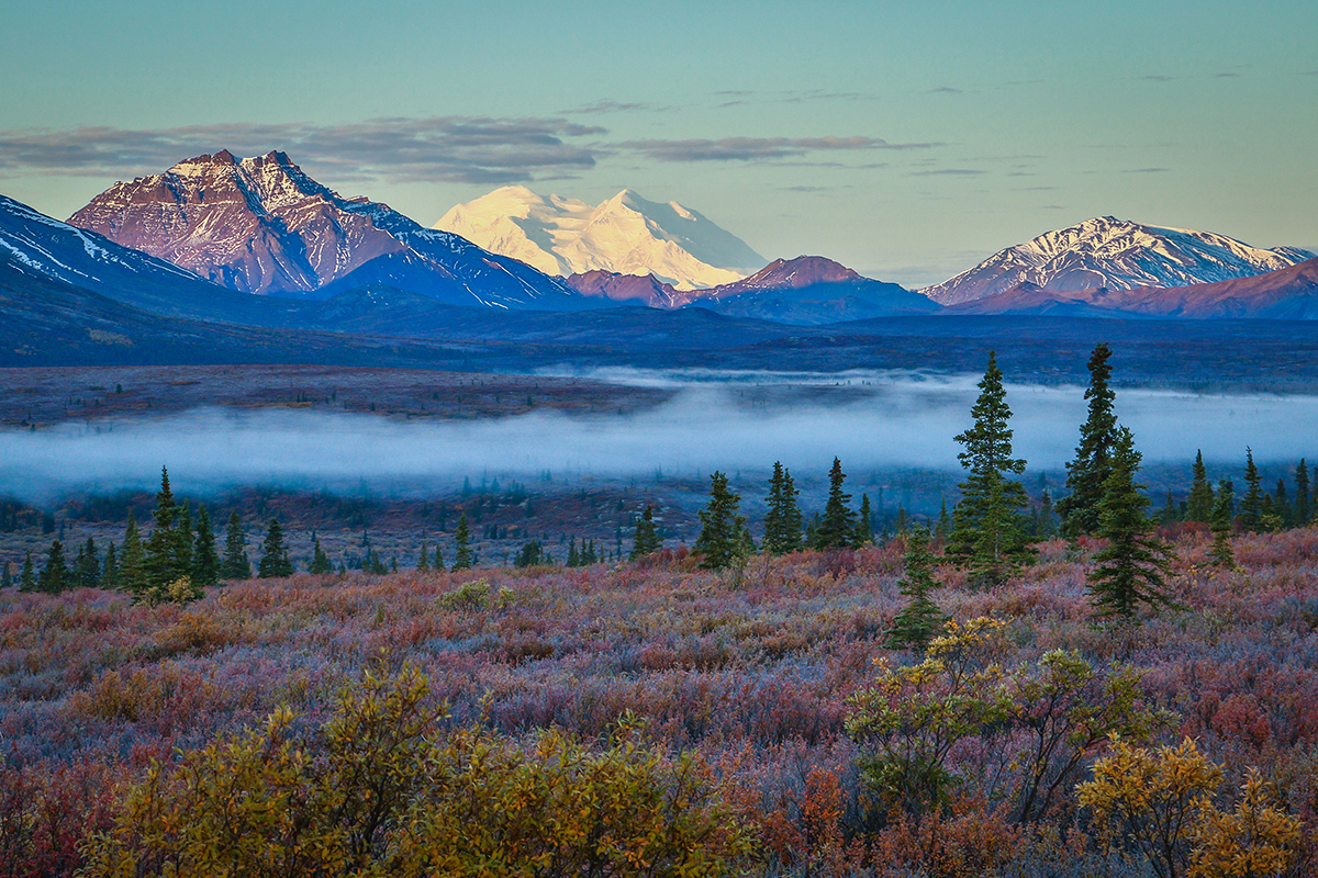 Guide to Experiencing Alaska’s Fall Colors - Gray Line Alaska
